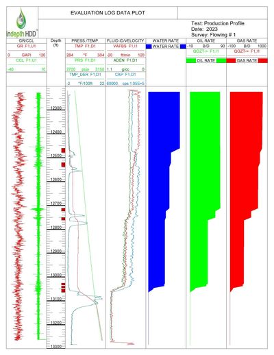 Production Logging - Indepth Production Solutions